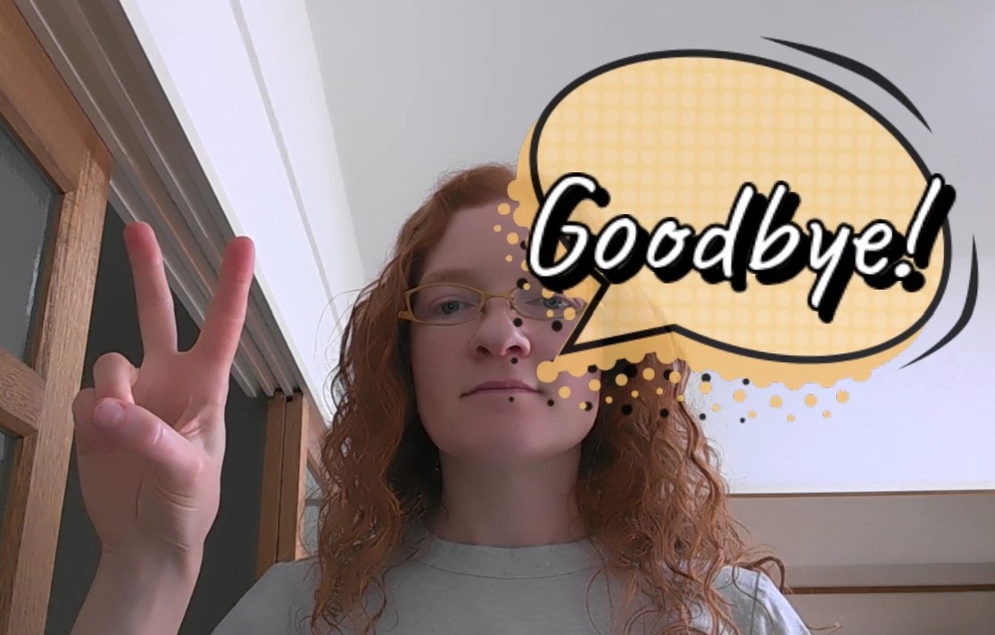 Snap Camera - Use Gestures to Communicate in Any Video Conference ...