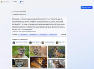 Discovering the Potential of Bing Chat for Language Learning - The FLTMAG