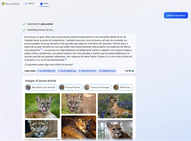 Discovering the Potential of Bing Chat for Language Learning - The FLTMAG