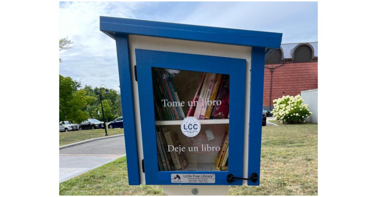 Little World Libraries to Boost World Literacy on Campus - The FLTMAG